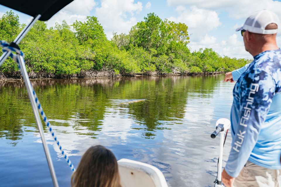 Naples, FL: Manatee, Dolphin, 10,000 Islands Beach Eco Tour - Final Thoughts