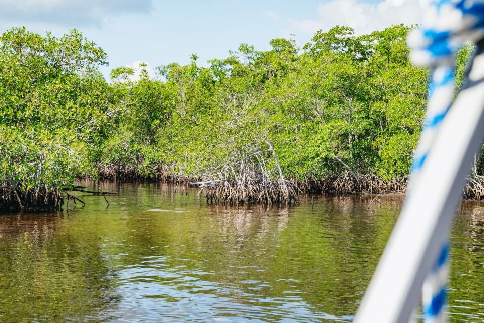 Naples, FL: Manatee Sightseeing and Wildlife Boat Tour - Who Will Love This Tour?