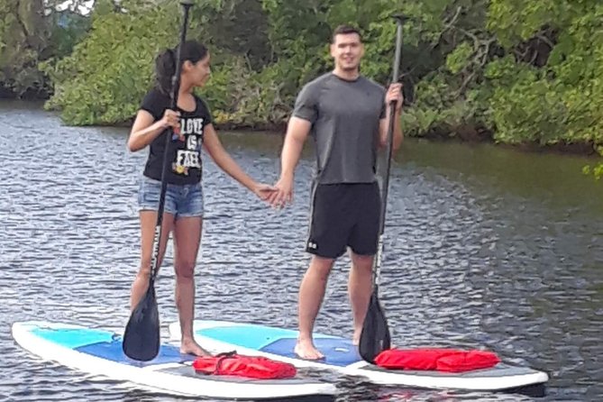 Naples Fl, Paddleboard Mangrove Forest Tour - The Value of This Tour