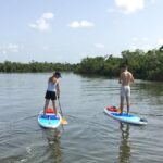 Naples Fl, Paddleboard Mangrove Forest Tour - Who Should Book This Tour?