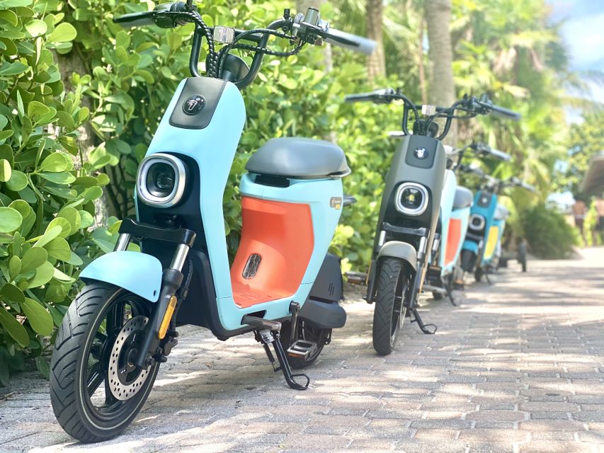 Naples, Florida - Segway Electric Moped Tour - Family Fun - An In-Depth Look at the Tour Experience