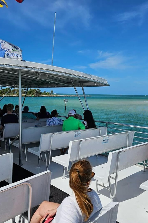 Naples: Sightseeing Day Cruise on the Gulf of Mexico - Key Points