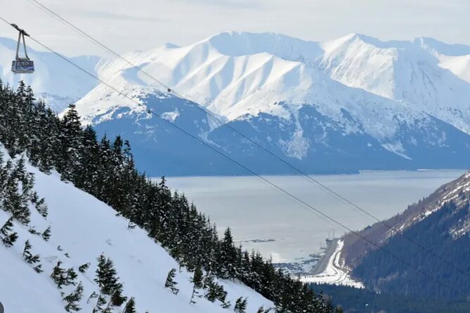 Narrated Alyeska/Girdwood Shuttle From Anchorage - Photo Stops - The Scenic Drive: What to Expect