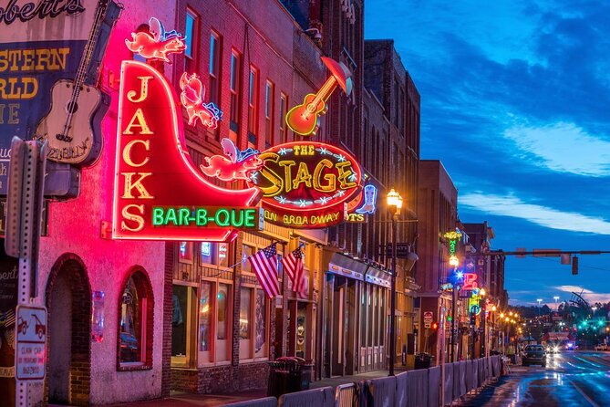 Nashville VIP Style Private Tour with Local Singer-Songwriter - An Honest Look at the Nashville VIP Style Private Tour with a Local Singer-Songwriter