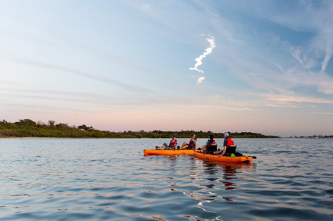 National Park Pedal Kayak Tours in New Smyrna Beach - Key Points  