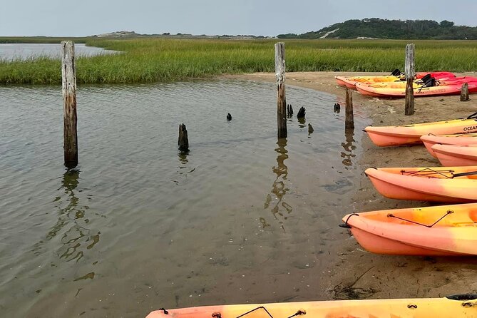 National Seashore Tour with Guided Hike - Exploring the Itinerary: What You Can Expect