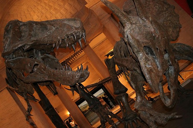 Natural History Museum of Los Angeles County Admission - Discovering Los Angeles’ Natural History Treasure: A Review of the Natural History Museum of Los Angeles County Admission