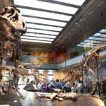 Natural History Museum of Los Angeles County Admission - An In-Depth Look at the Museum Experience