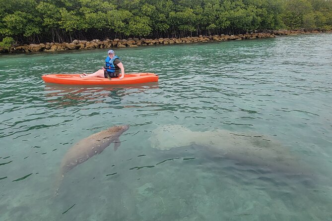 Nature & Island Exploration on SUP/Kayak - Value for Money and Practical Details