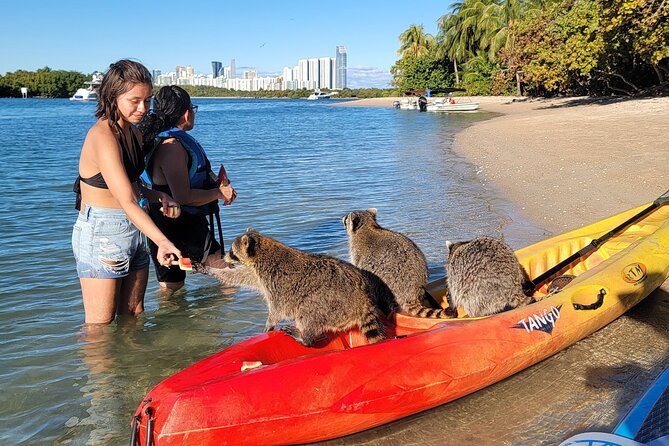 Nature & Island Exploration on SUP/Kayak - FAQ