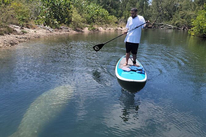 Nature Stand Up Paddle Boarding Experience in Miami - Exploring Miami’s Natural Beauty on a Paddleboard