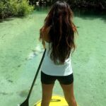 Nature Stand Up Paddle Boarding Experience in Miami - What to Expect During the Tour