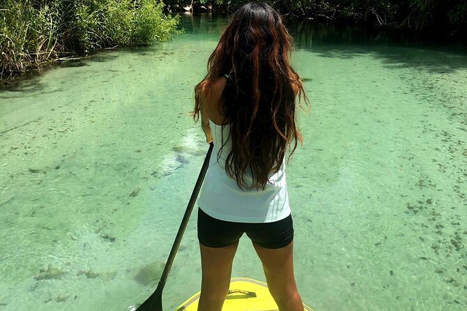 Nature Stand Up Paddle Boarding Experience in Miami - What to Expect During the Tour