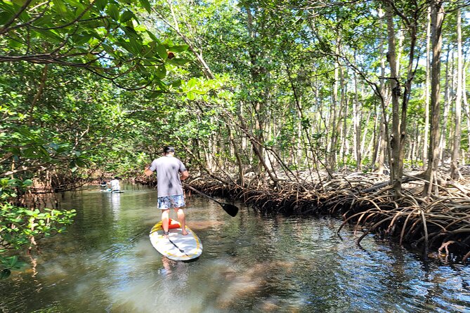 Nature Stand Up Paddle Boarding Experience in Miami - The Value of the Experience