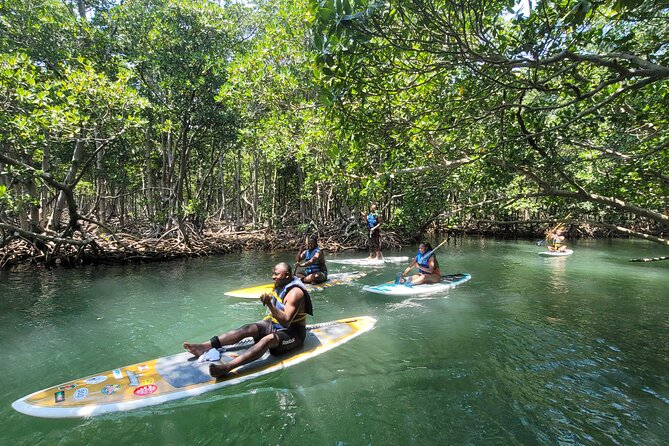 Nature Stand Up Paddle Boarding Experience in Miami - Practical Tips for Your Paddleboarding Adventure