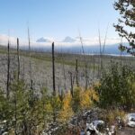 Nature Walk in Glacier National Park - Who Should Book This Experience?