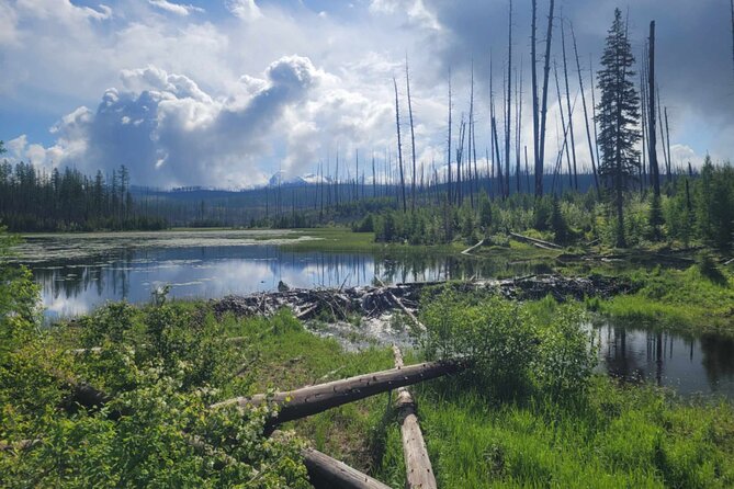 Nature Walk in Glacier National Park - Final Thoughts