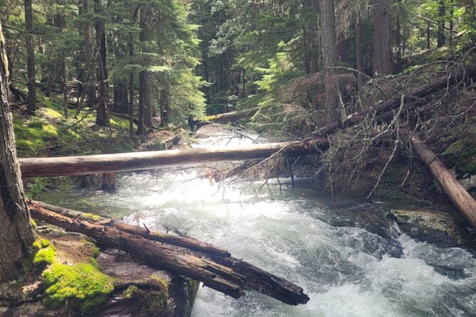 Nature Walk in Glacier National Park - Additional Resources
