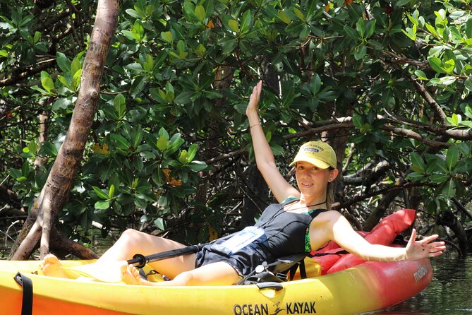 Nauti Exposures - Kayak rental Naples, FL - Detailed Review of the Kayak Experience