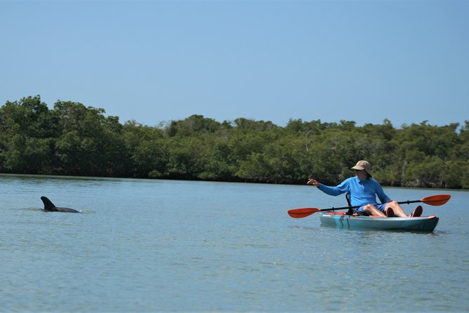 Nauti Exposures - Kayak rental Naples, FL - Final Thoughts
