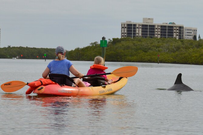 Nauti Exposures - Kayak rental Naples, FL - FAQ