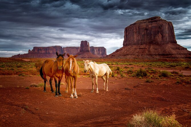 Navajo Tribal Park Monument Valley Self-Guided Driving Tour - The Downsides to Keep in Mind