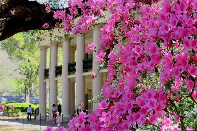 Nawlins Luxury: Double Plantation Whitney & Oak Alley with Transportation - Practical Details: What to Know Before You Go