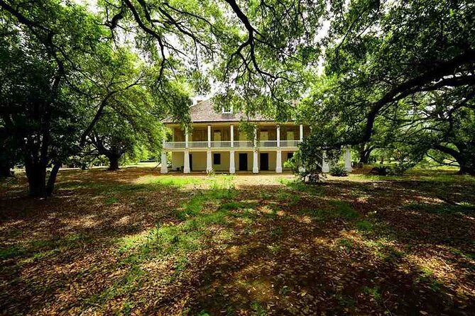 Nawlins Luxury: Double Plantation Whitney & Oak Alley with Transportation - Authentic Experiences and Insights from Past Travelers