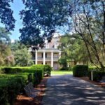 Nawlins Luxury: Laura, Oak Alley or Whitney Plantation Tour w/Transportation - Final Thoughts: Who Will Love This Tour?
