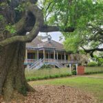 Nawlins Luxury: Laura Plantation Tour w/Transportation - Why This Tour Offers Real Value