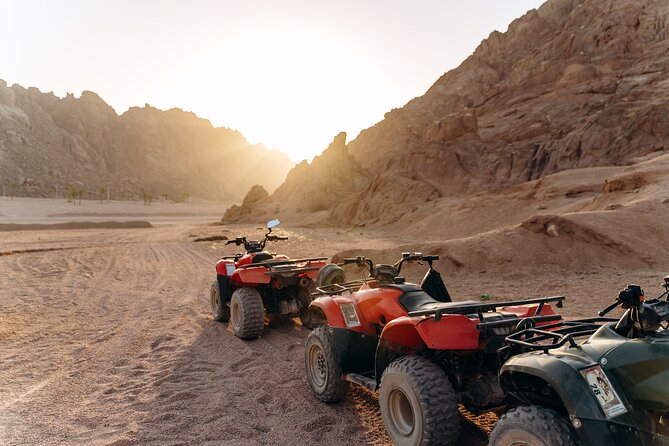 Nelson Hills Desert ATV Tour From Las Vegas - Is the Nelson Hills Desert ATV Tour Worth It?
