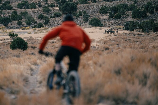 Nevada Trails to Rails Beginner & Intermediate Bike and Hike Tour - Pricing and Value