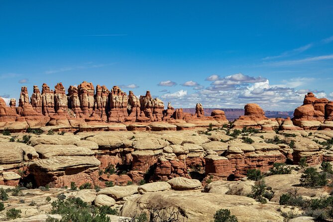 NEW! Canyonlands Needles Chesler Park Hiking Discovery Tour - An In-Depth Look at the Experience