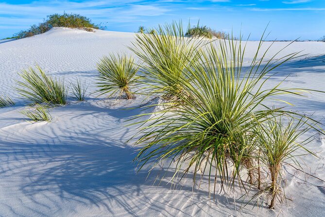 New Mexico: Carlsbad, Santa Fe & White Sands Audio Tour - The Sum Up