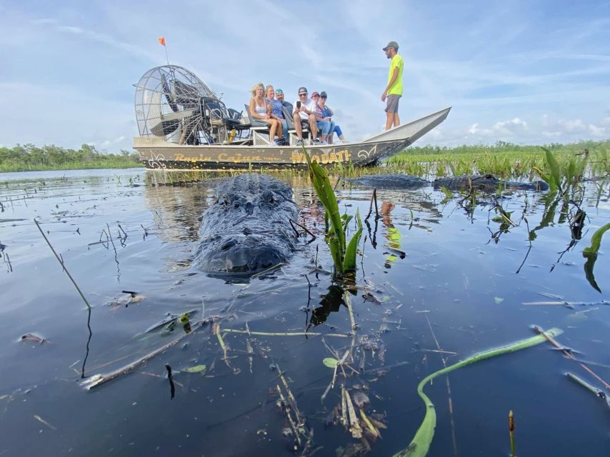 New Orleans: 10 Passenger Airboat Swamp Tour - Frequently Asked Questions