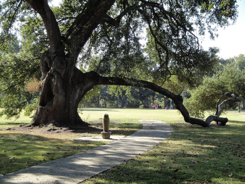 New Orleans: 2-Hour 15-Minute City and Cemetery Tour by Bus - Key Points