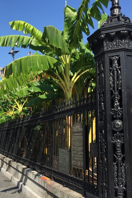 New Orleans: 45 Minutes in Jackson Square - What to Expect During Your Jackson Square Tour