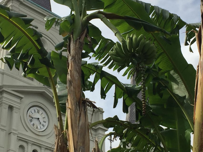 New Orleans: 45 Minutes in Jackson Square - FAQ