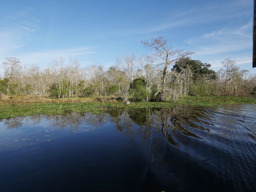 New Orleans: Airboat or Pontoon Boat Cruise with Transfers - An Authentic Louisiana Wetlands Experience