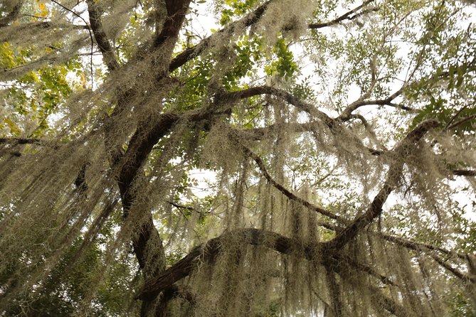 New Orleans Airboat Ride - FAQs