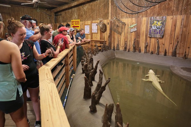 New Orleans Airboat Ride - Final Thoughts