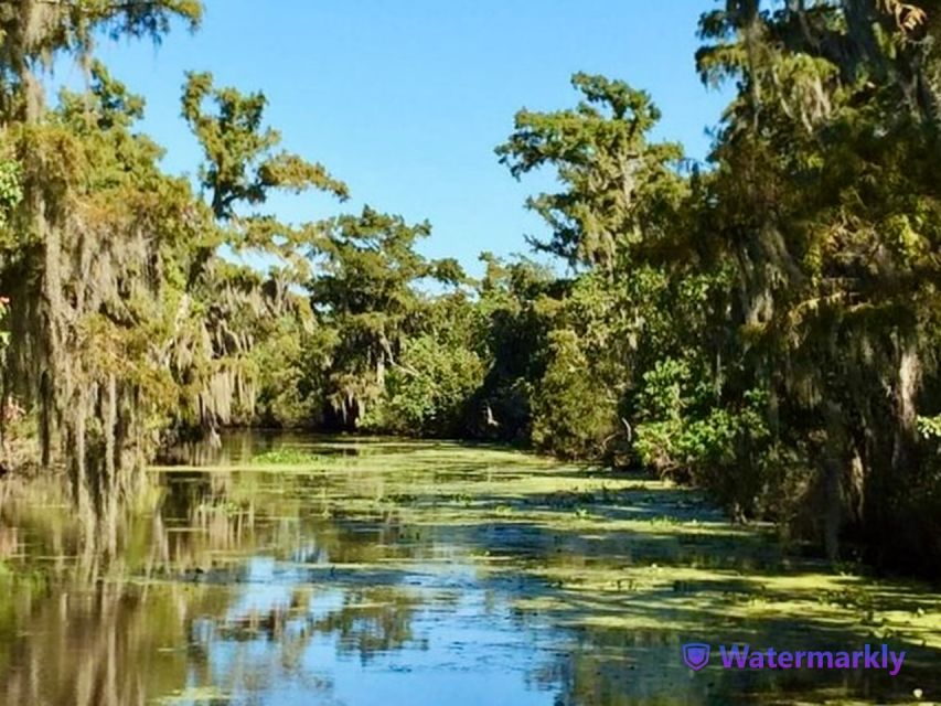 New Orleans: Airboat Swamp & City and Katrina Tour Combo - Practical Tips & Considerations