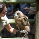 New Orleans: Audubon Zoo Ticket and Combination Option - The Benefits of the Combo Tickets