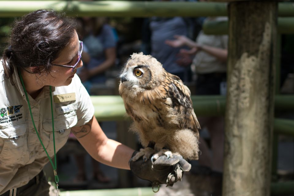 New Orleans: Audubon Zoo Ticket and Combination Option - The Benefits of the Combo Tickets