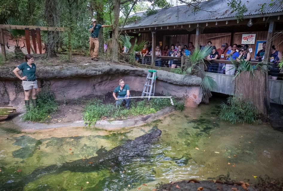 New Orleans: Audubon Zoo Ticket and Combination Option - Authentic Visitor Insights