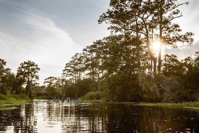 New Orleans Bayou Adventure: Kayak Rental - Exploring the Louisiana Bayou with a Kayak Rental: A Practical Review