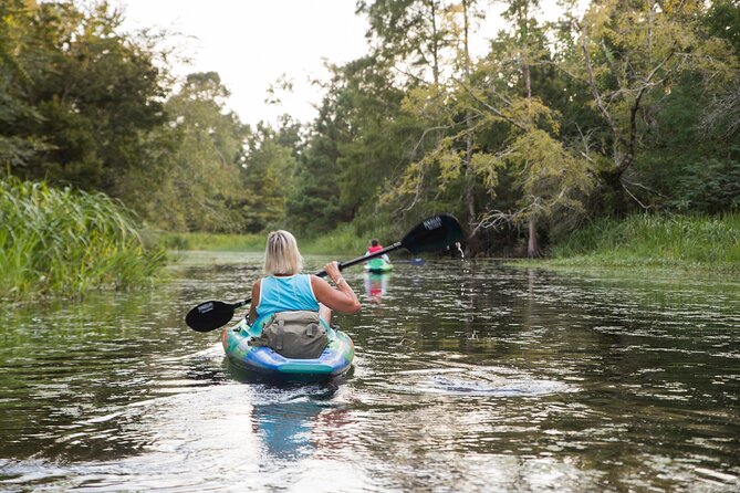 New Orleans Bayou Adventure: Kayak Rental - An In-Depth Look at the Experience
