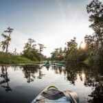 New Orleans Bayou Adventure: Kayak Rental - Who This Experience Fits