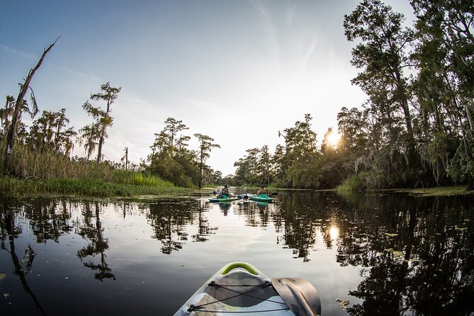 New Orleans Bayou Adventure: Kayak Rental - Who This Experience Fits