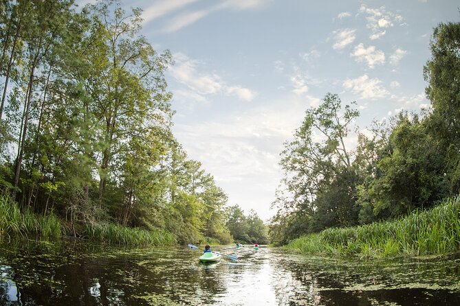 New Orleans Bayou Adventure: Kayak Rental - FAQs